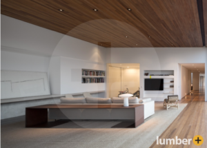 12 Art Gallery Design Ideas to Get You Inspired
